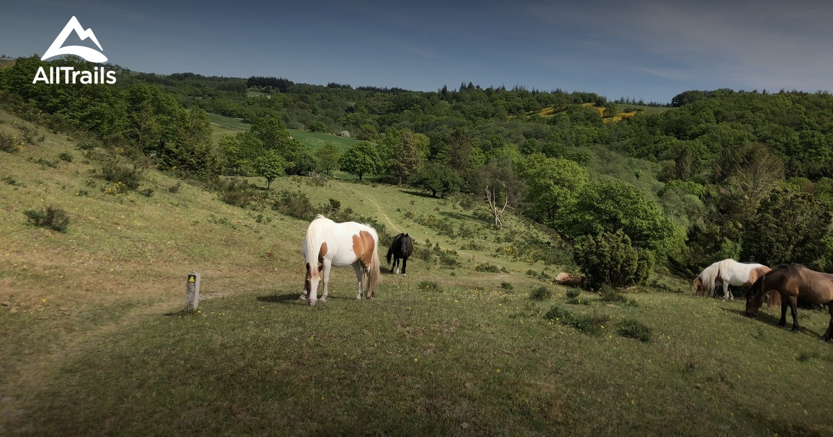 10 Best scenic driving trails in Region of Southern Denmark | AllTrails