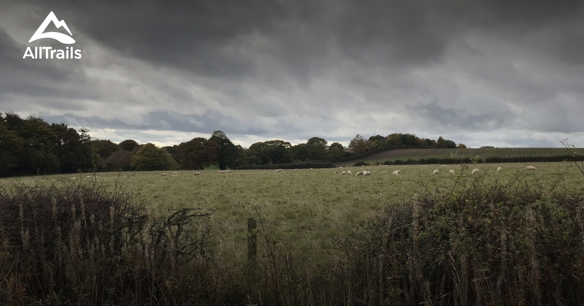 Die Besten Kinderwagentauglichen Routen in County Durham | AllTrails