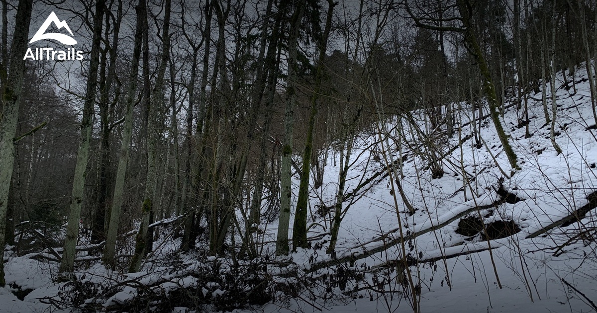10 Best Trails, Walks, and Paths in Harju | AllTrails