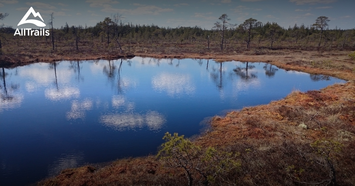 10 Best forest trails in Rapla | AllTrails