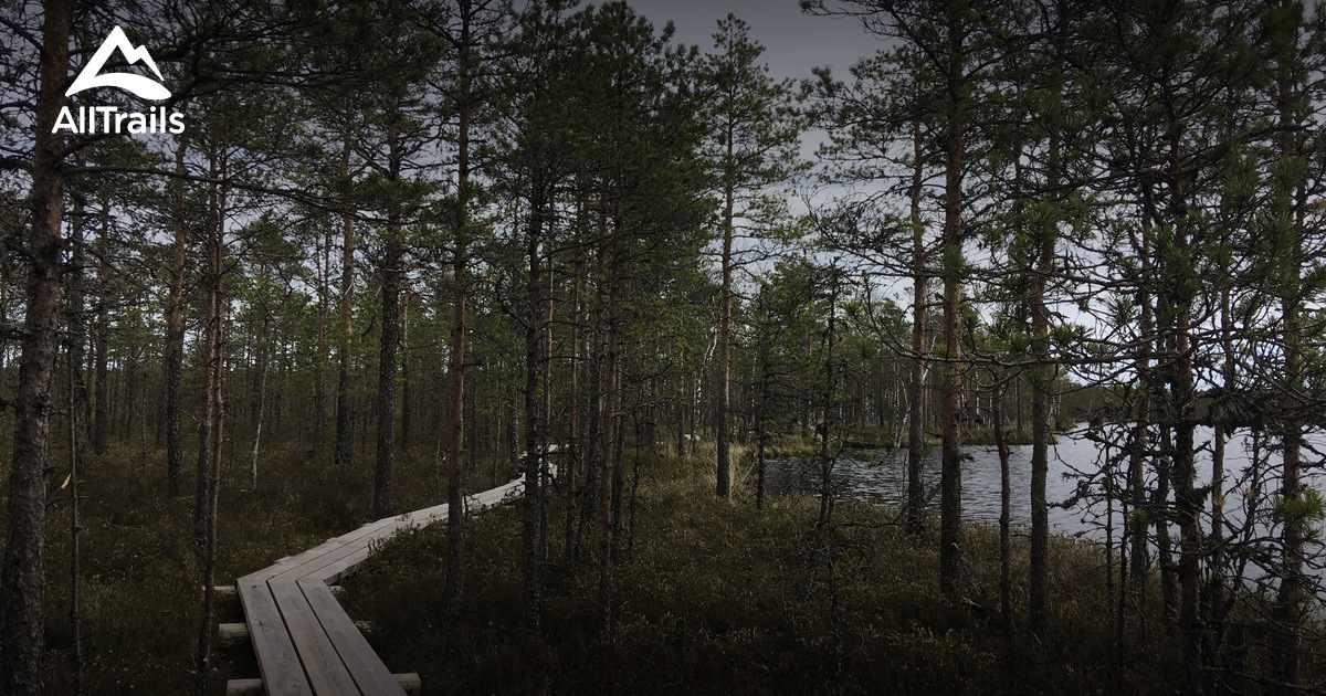 Best 10 Trails, Walks, and Paths in Võru | AllTrails