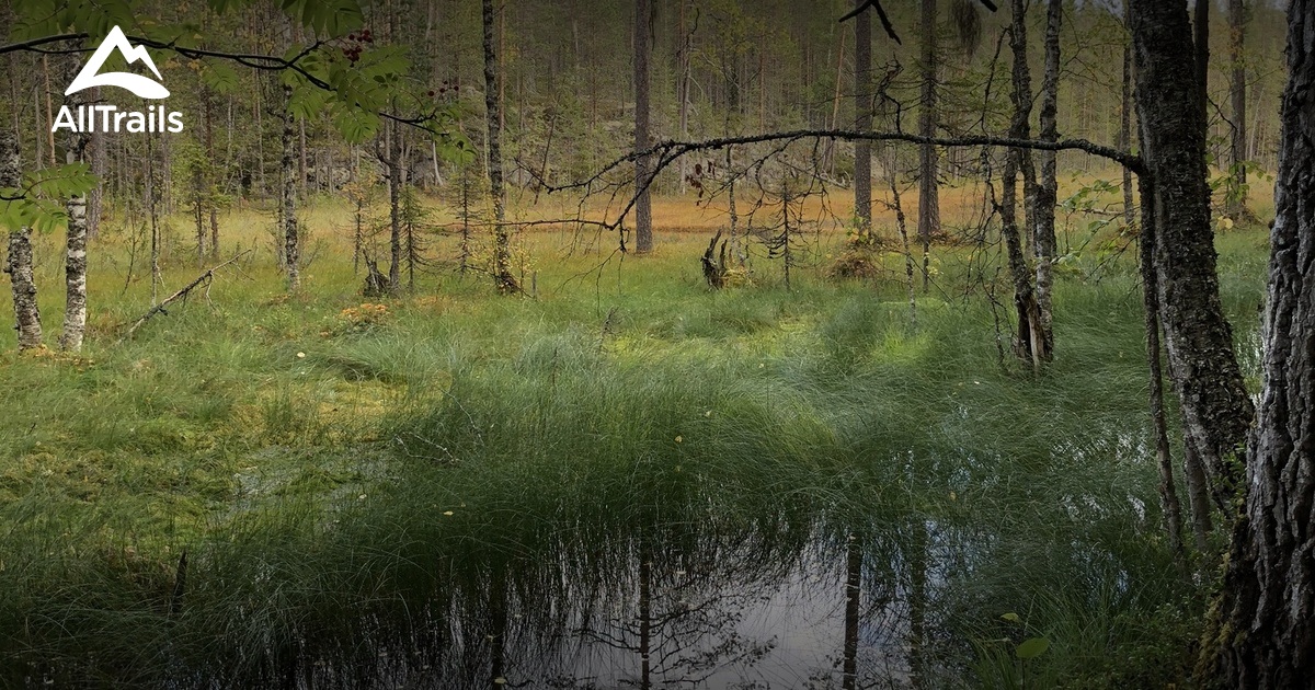 10 Best trails and hikes in Kainuu | AllTrails