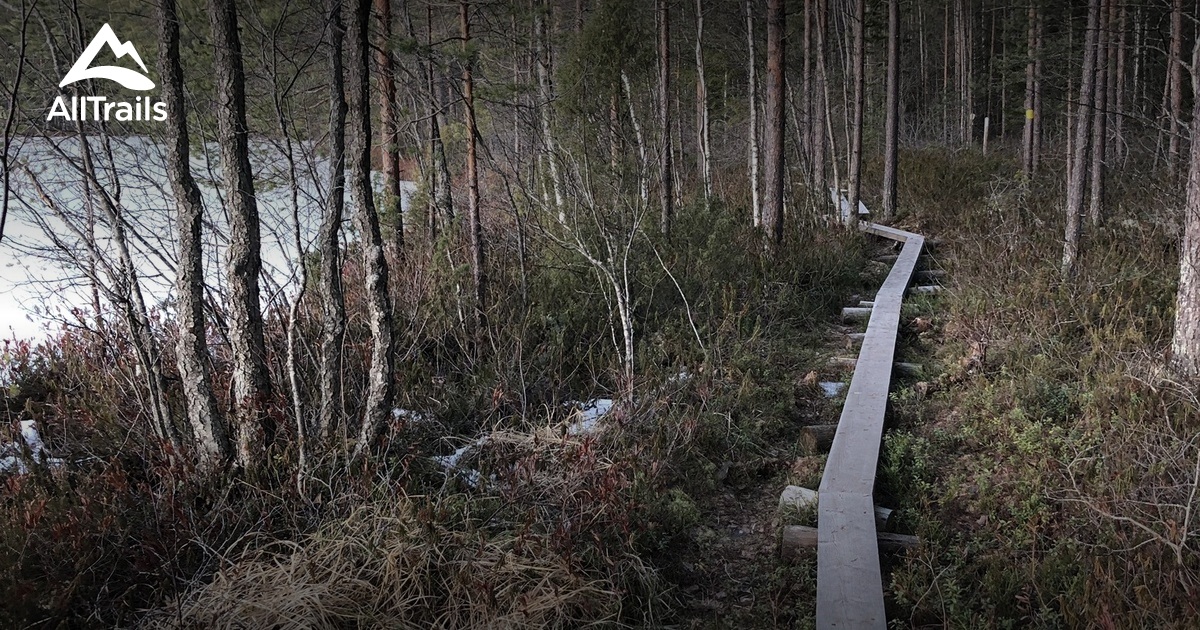 10 Best camping trails in North Savo | AllTrails