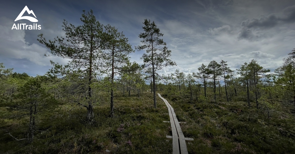 10 Best river trails in Satakunta | AllTrails