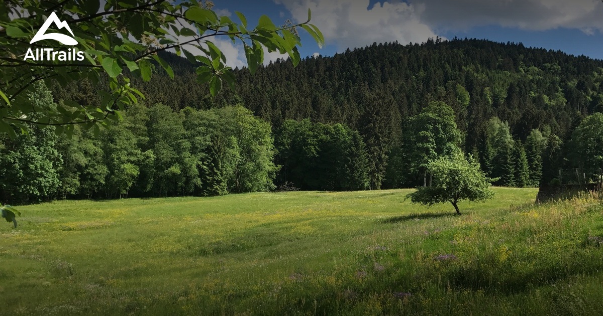 10 Best trails and hikes in Vosges | AllTrails
