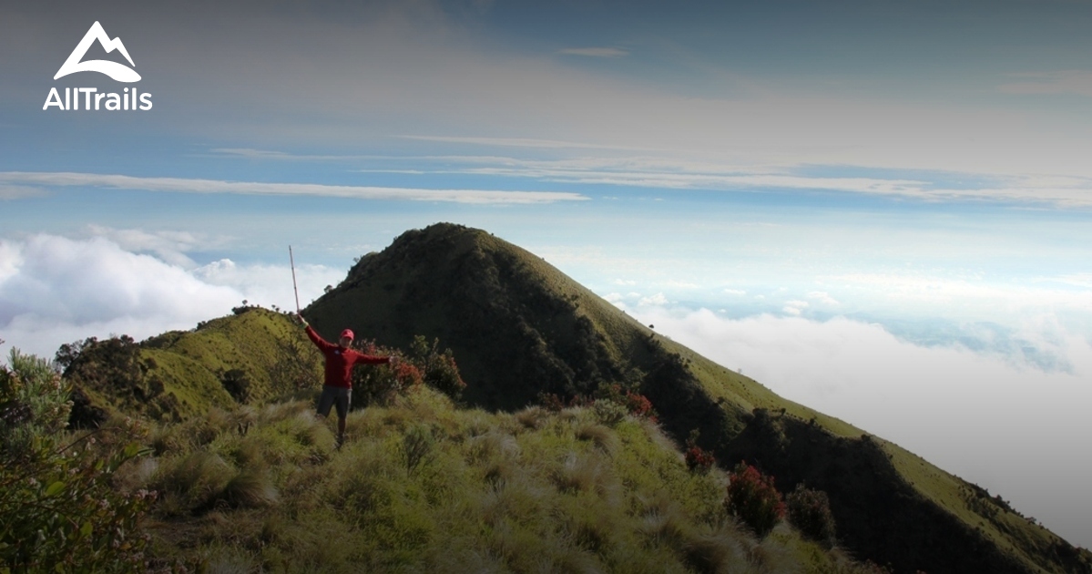 10 Best forest trails in Central Java | AllTrails