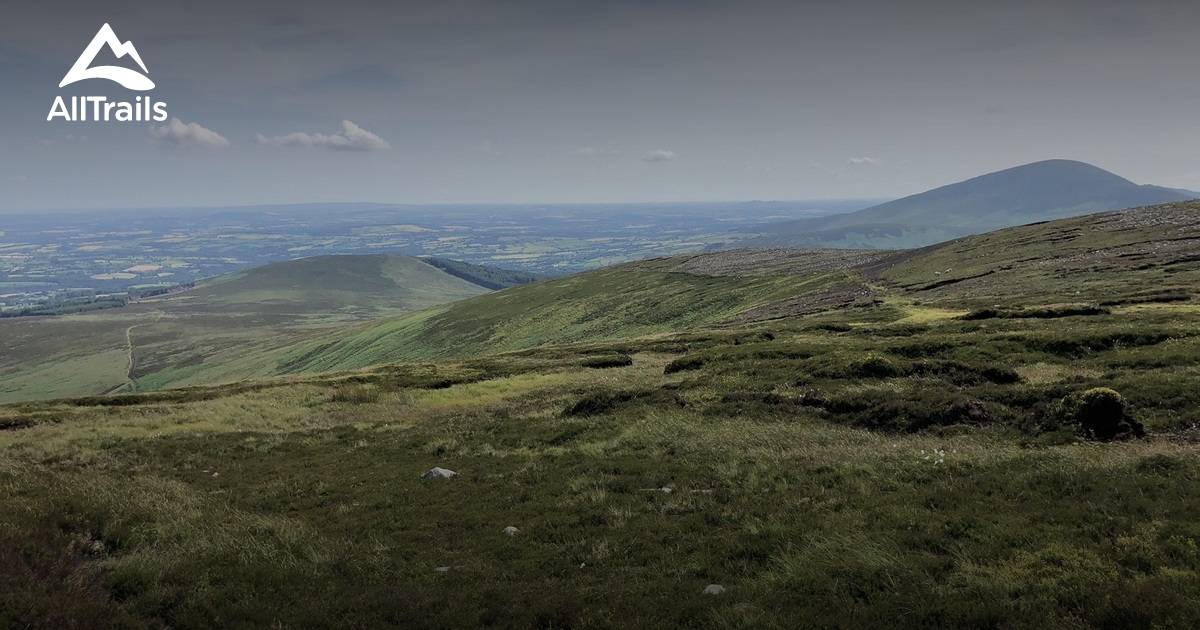 10 Best trails and hikes in County Carlow | AllTrails
