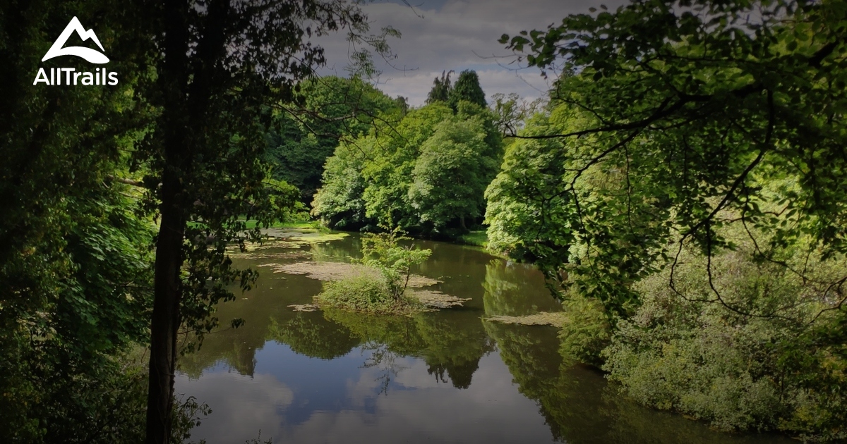 10 Best wildflower trails in County Cavan | AllTrails