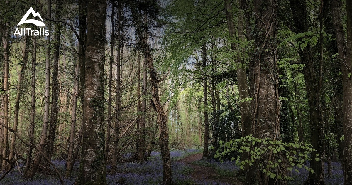 Best 10 Forest Trails in County Kildare | AllTrails