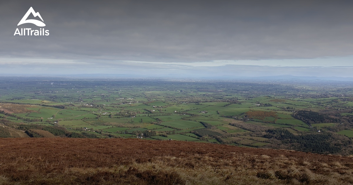 10 Best forest trails in County Limerick | AllTrails
