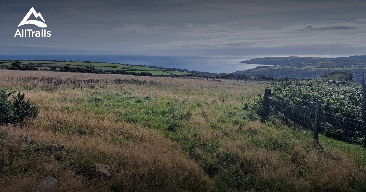 Best forest trails in Garff | AllTrails