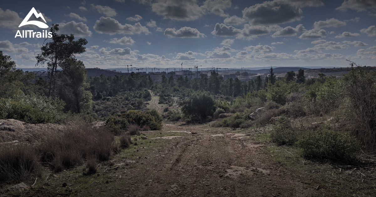 10 Best trails and hikes in Jerusalem | AllTrails