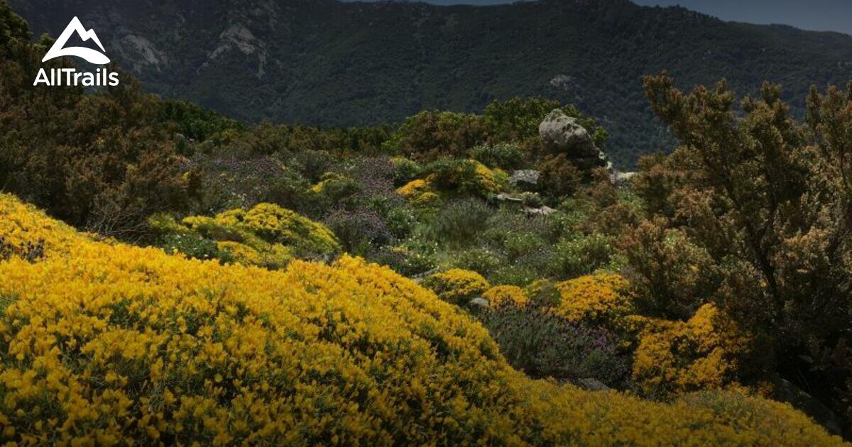 10 Best trails and hikes in Island of Elba | AllTrails