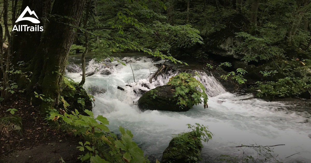 10 Best trails and hikes in Akita | AllTrails