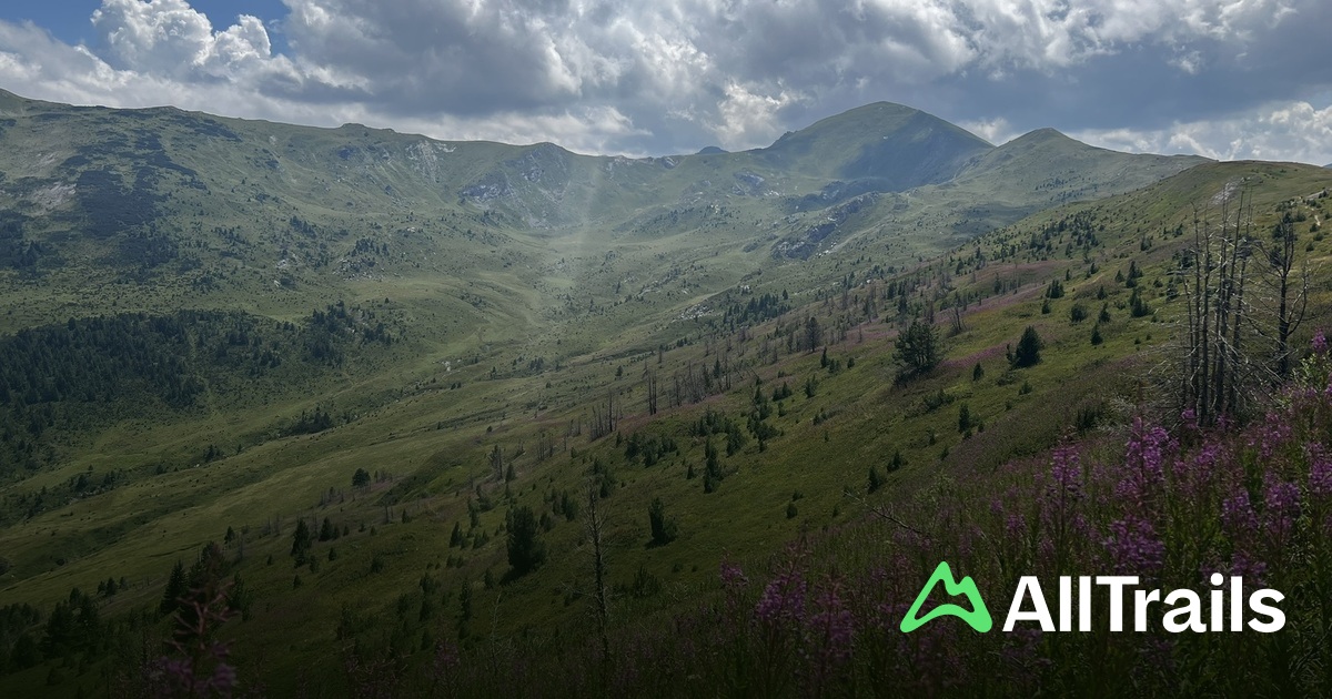 Best forest trails in Peja | AllTrails