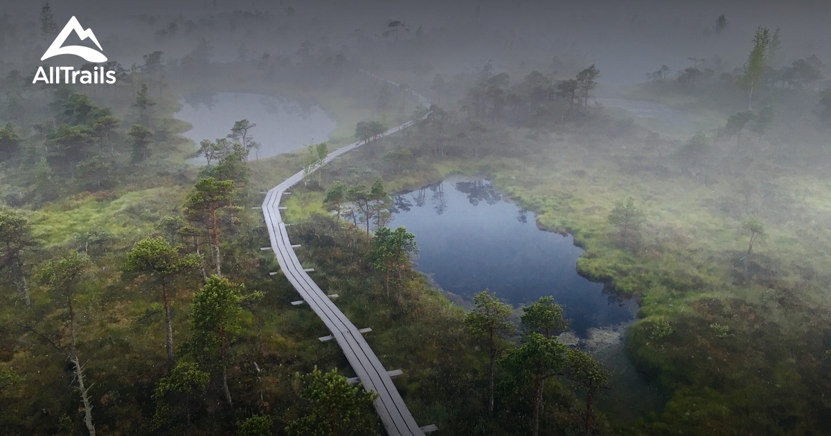 Best hikes and trails in Semigallia | AllTrails