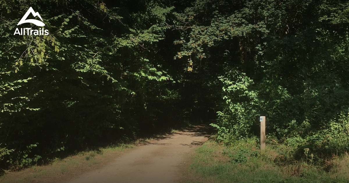 10 Best trails and hikes in Esch-sur-Alzette | AllTrails