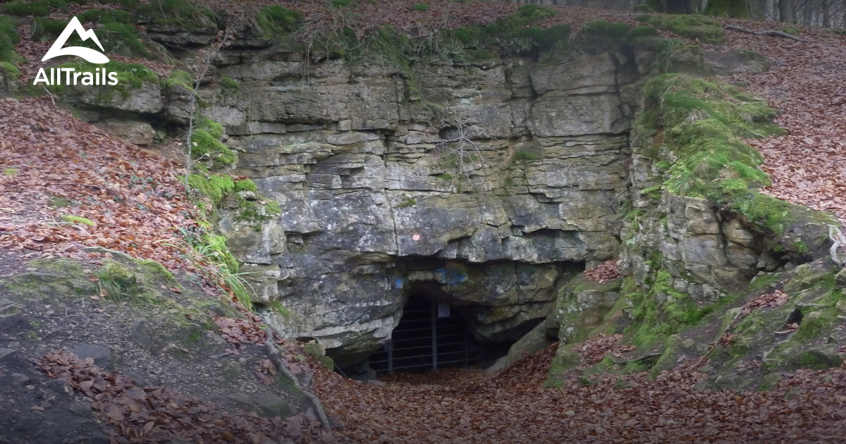 Mersch: Die 10 schönsten Routen zum Wandern | AllTrails