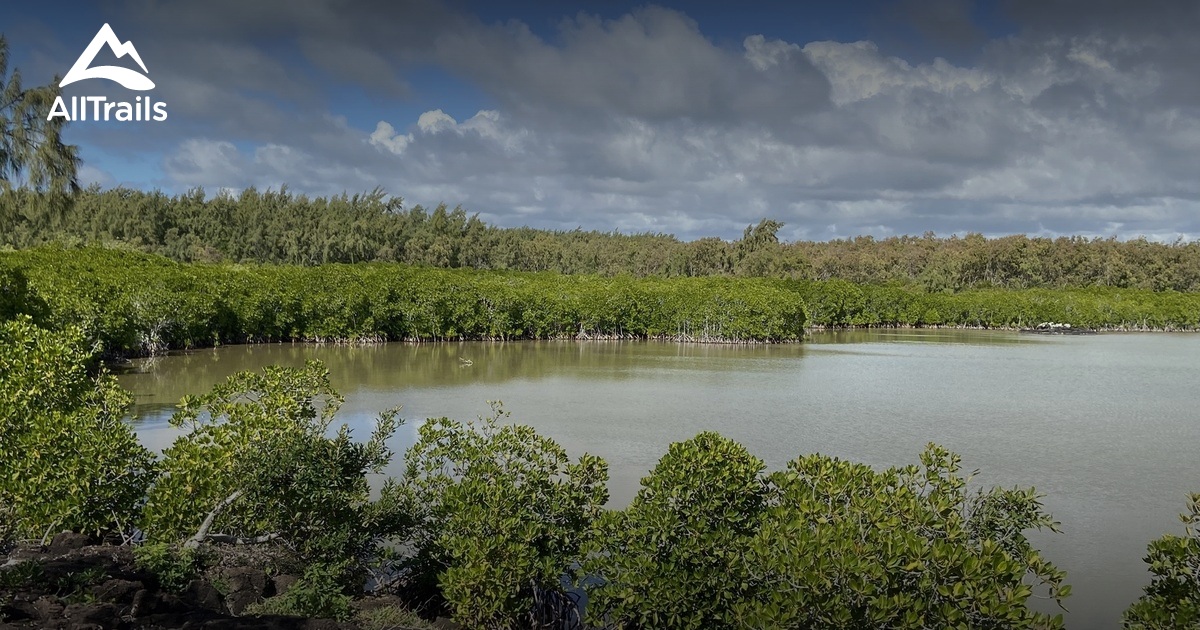 Best hikes and trails in Flacq | AllTrails