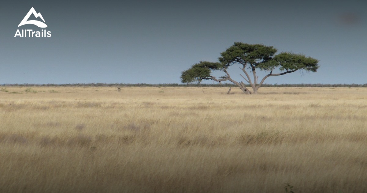 Best Trails in Oshana, Namibia | AllTrails