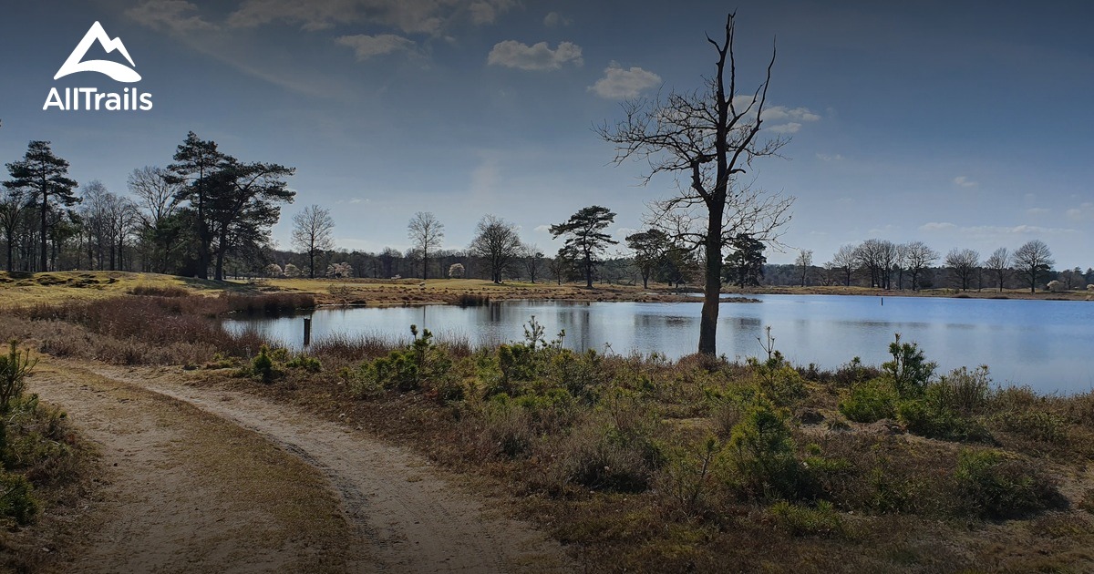 10 Best Trails, Walks, and Paths in Frísia | AllTrails