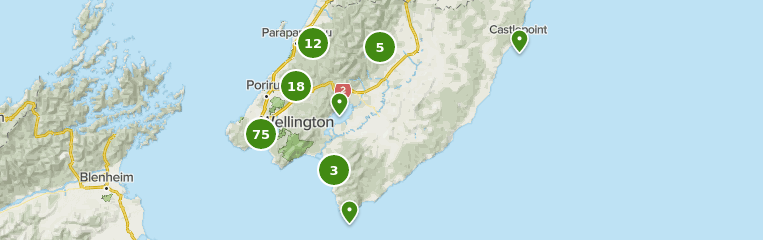 Best Trails in Wellington, New Zealand | AllTrails
