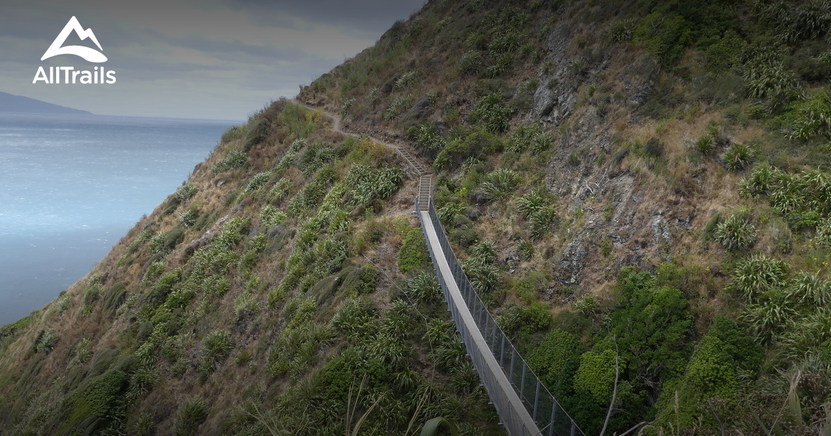 10 Best trails and hikes in Wellington | AllTrails