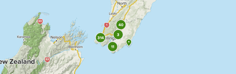 Best 10 Trails and Hikes in Wellington | AllTrails
