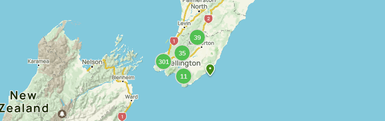 10 Best Trails and Hikes in Wellington | AllTrails