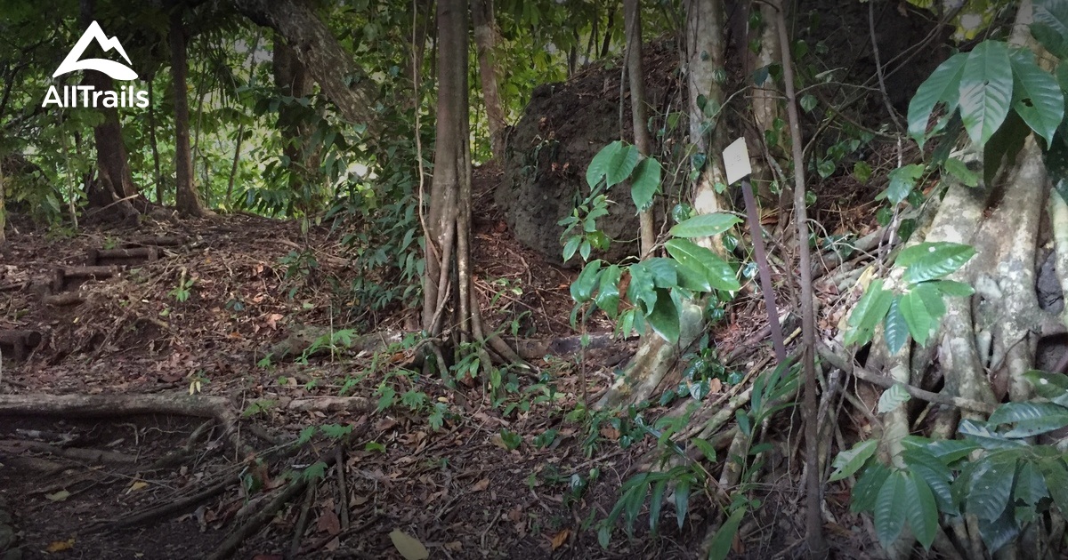 Best hikes and trails in Koror | AllTrails