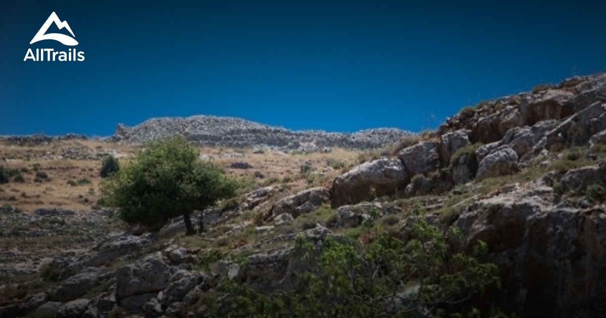 Best hikes and trails in Ramallah | AllTrails