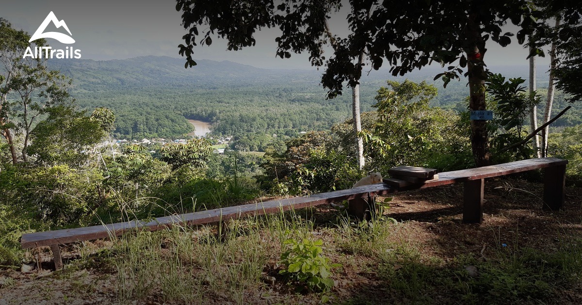 Darién: as melhores caminhadas e trilhas | AllTrails