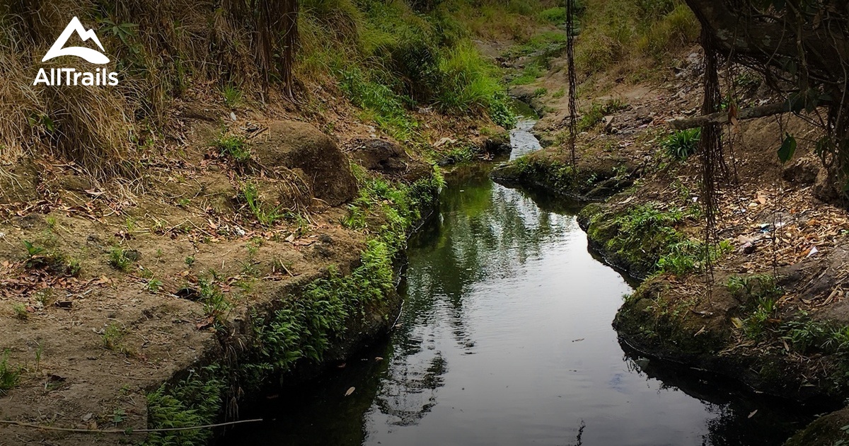 10 Best trails and hikes in Cavite | AllTrails