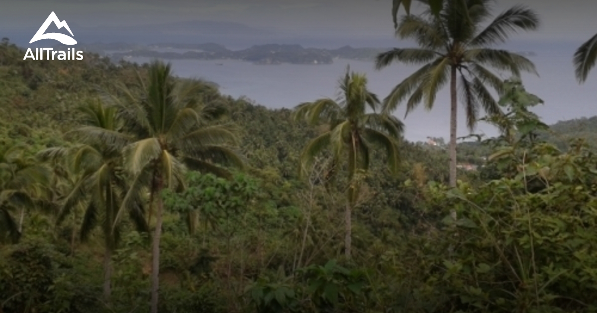Best forest trails in Oriental Mindoro | AllTrails