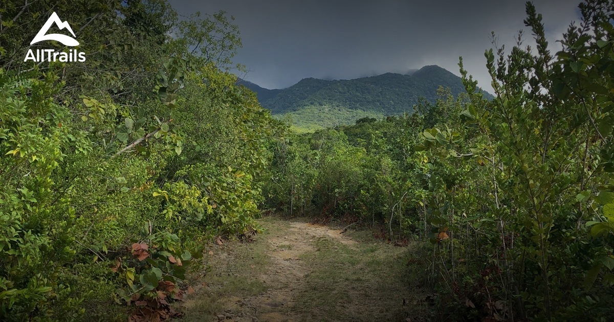 Best hikes and trails in Saint Thomas Lowland | AllTrails