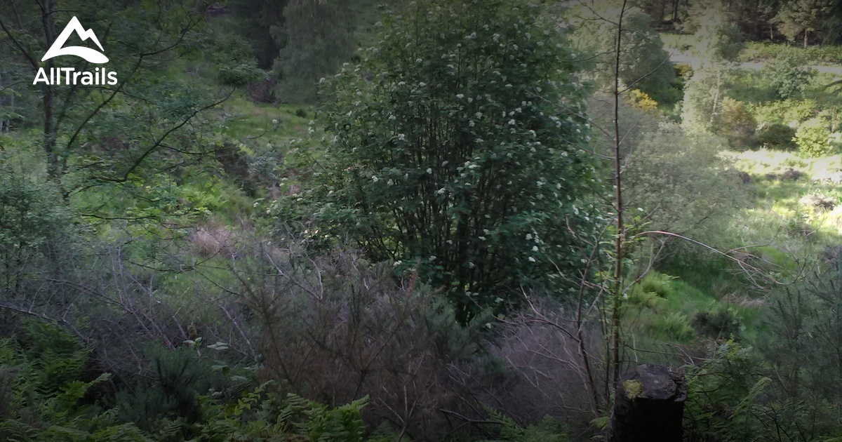 10 Best views trails in Aberdeen | AllTrails