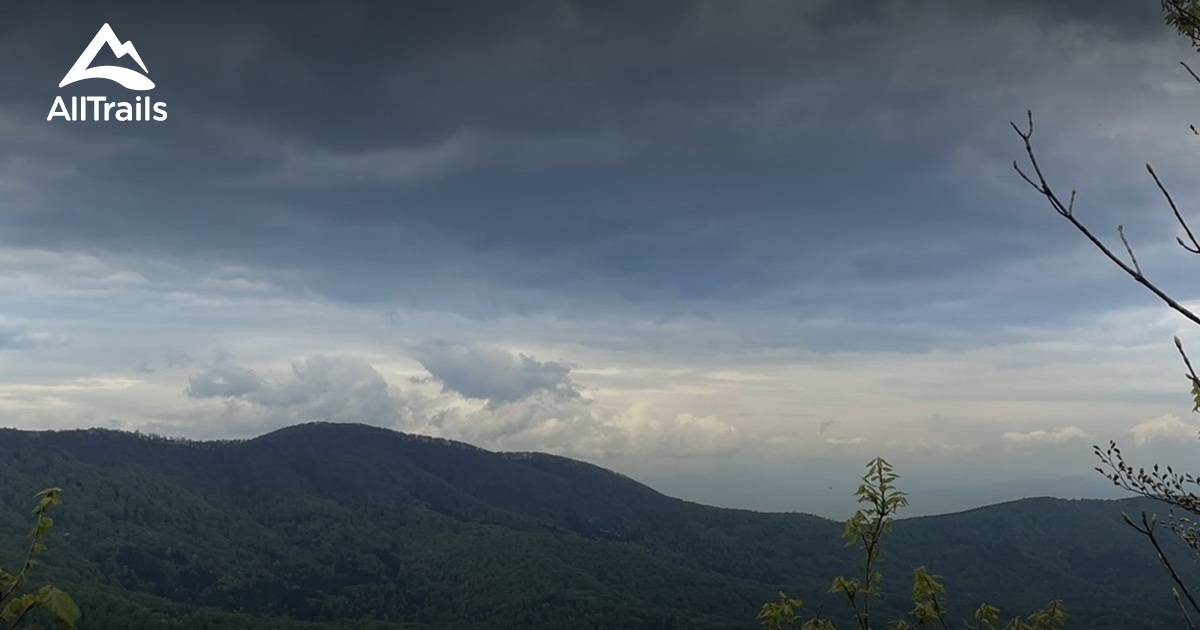 Best Trails, Walks, and Paths in Rasinski upravni okrug | AllTrails