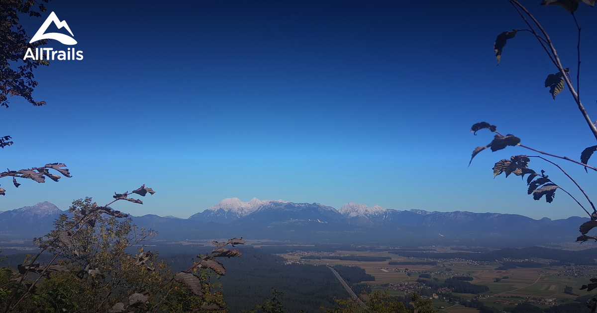 Best forest trails in Medvode | AllTrails