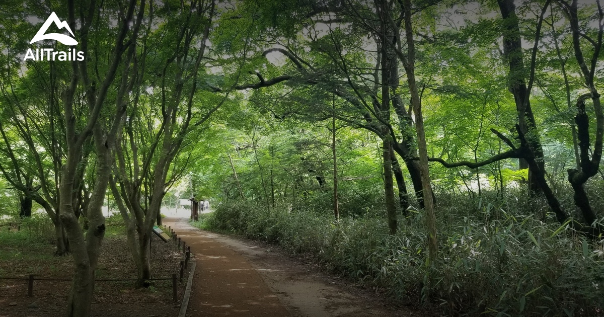 10 Best trails and hikes in North Chungcheong | AllTrails