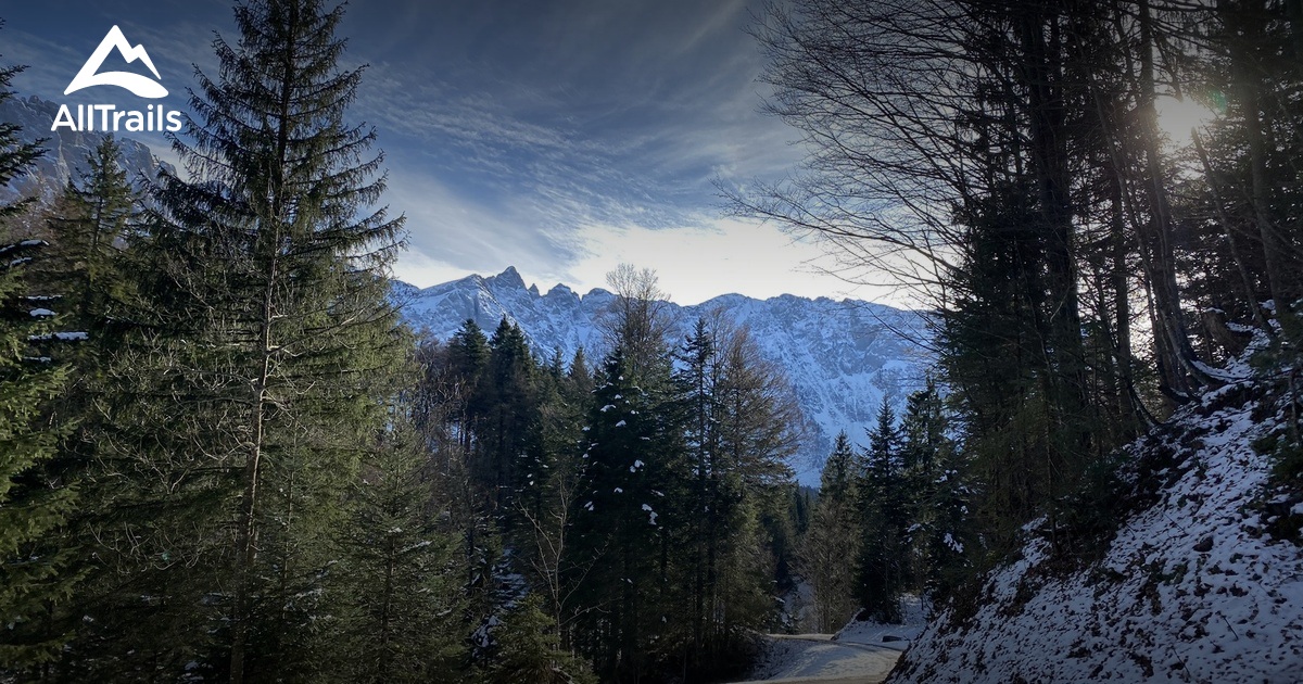 10 Best trails and hikes in Appenzell Outer Rhodes | AllTrails