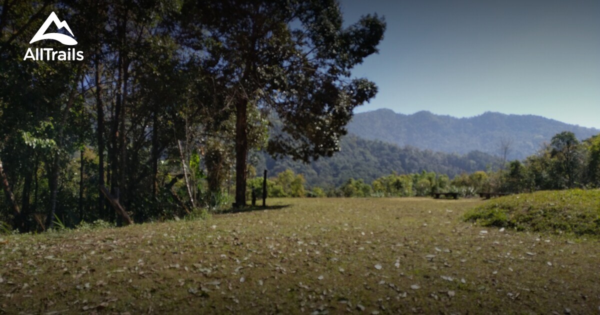 10 Best forest trails in Nan | AllTrails