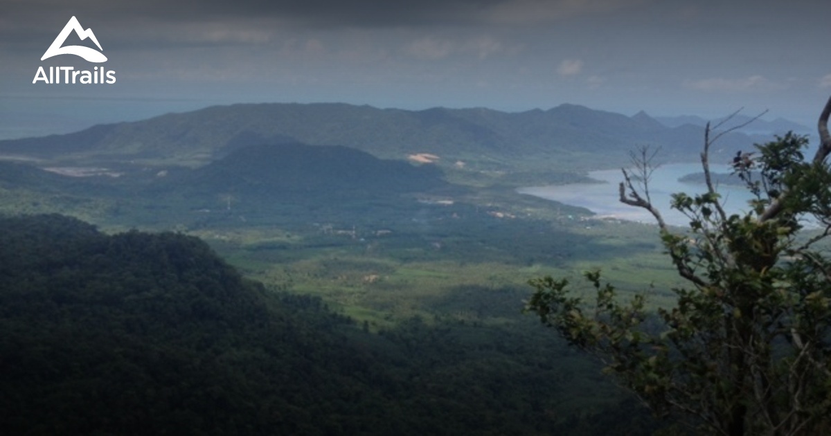 10 Best Forest Trails in Trat | AllTrails