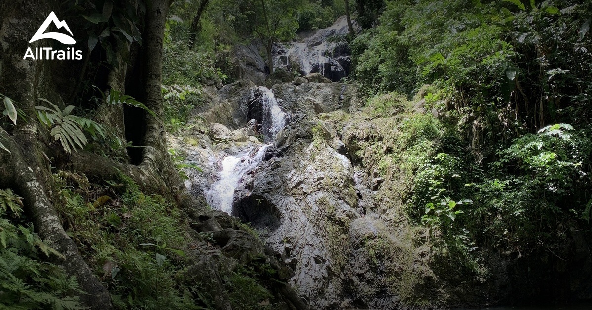 Best hikes and trails in Eastern Tobago | AllTrails