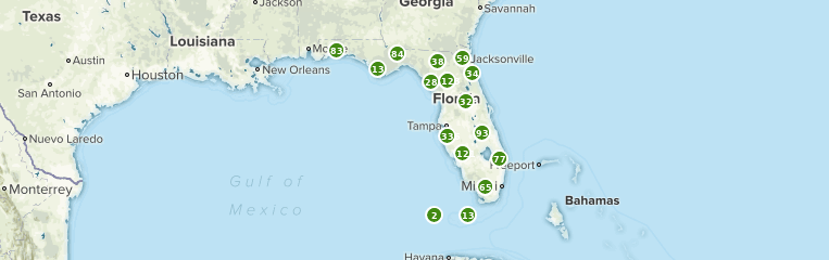 Best Trails in Florida | AllTrails