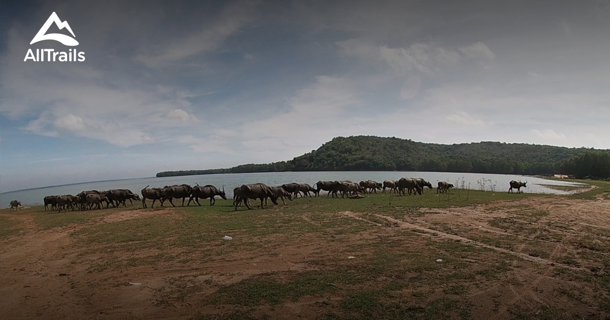 Best hikes and trails in Bình Dương | AllTrails