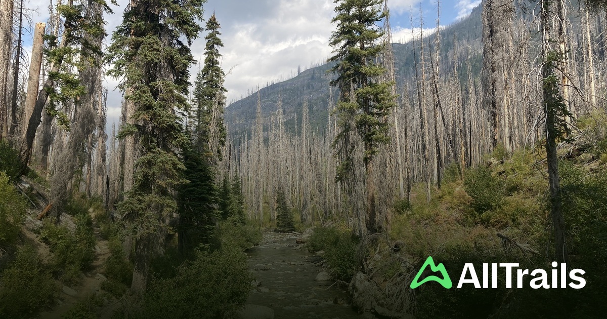 Upper Myrtle Lake Camp - hikes and trails to get you there | AllTrails