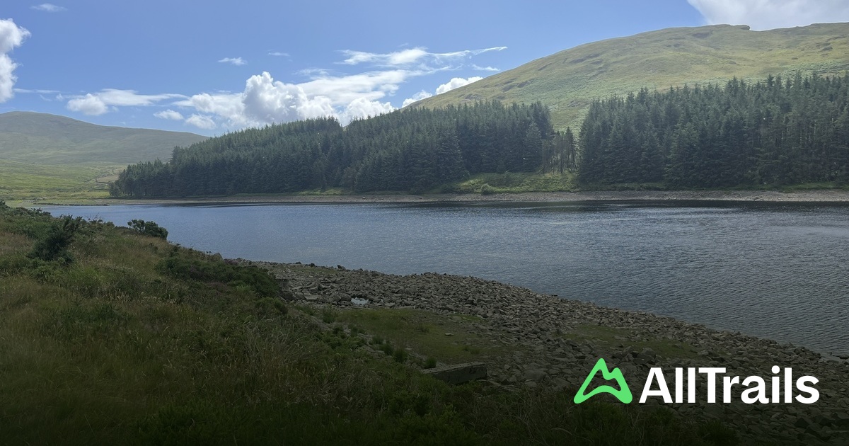 Shimna River - hikes and trails to get you there | AllTrails