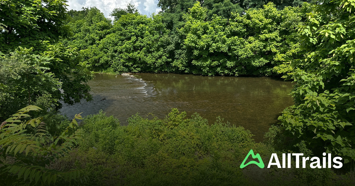 Baker Springs Basin - hikes and trails to get you there | AllTrails