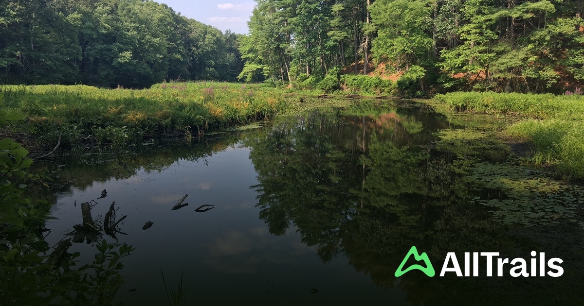 Mill Pond : les meilleures randonnées | AllTrails