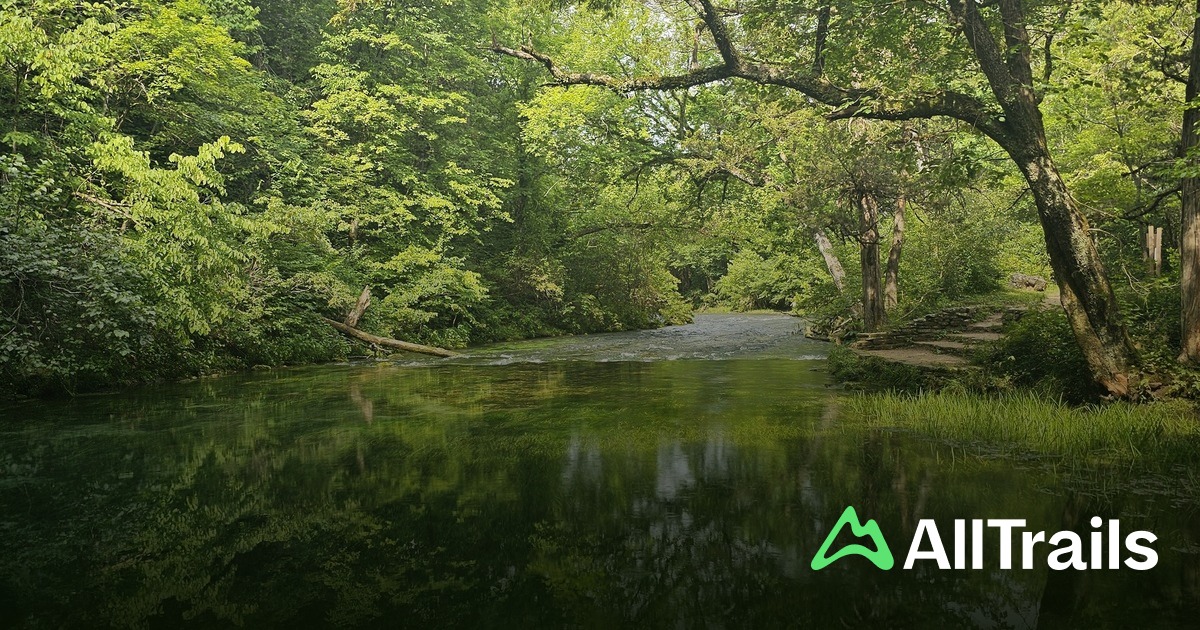 Los mejores senderos cerca de Current River | AllTrails